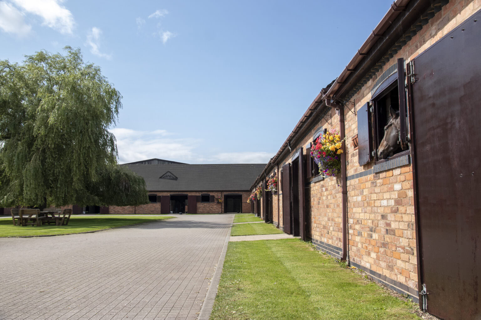 Dominion Racing Stables – Ian Williams Racing