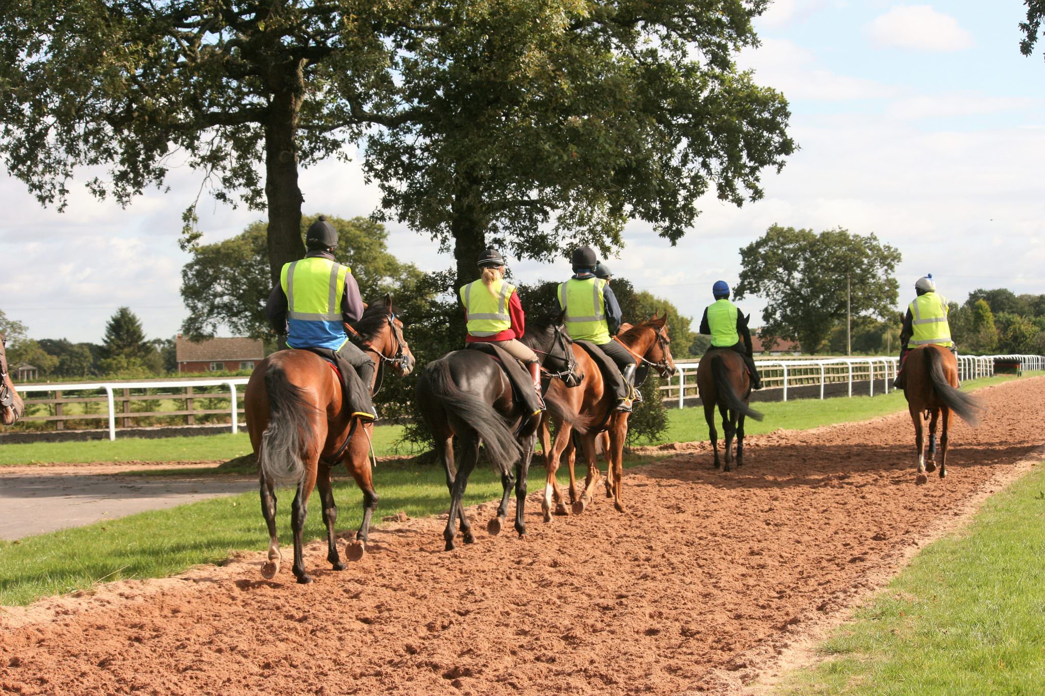 New video of Dominion Racing Stables - Ian Williams Racing