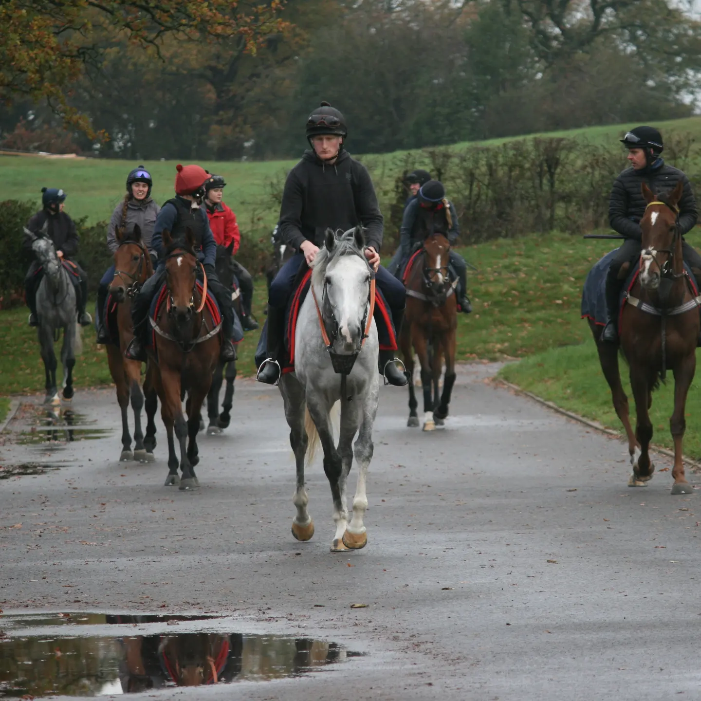 Autumnal morning at Dominion Racing Stables - Ian Williams Racing