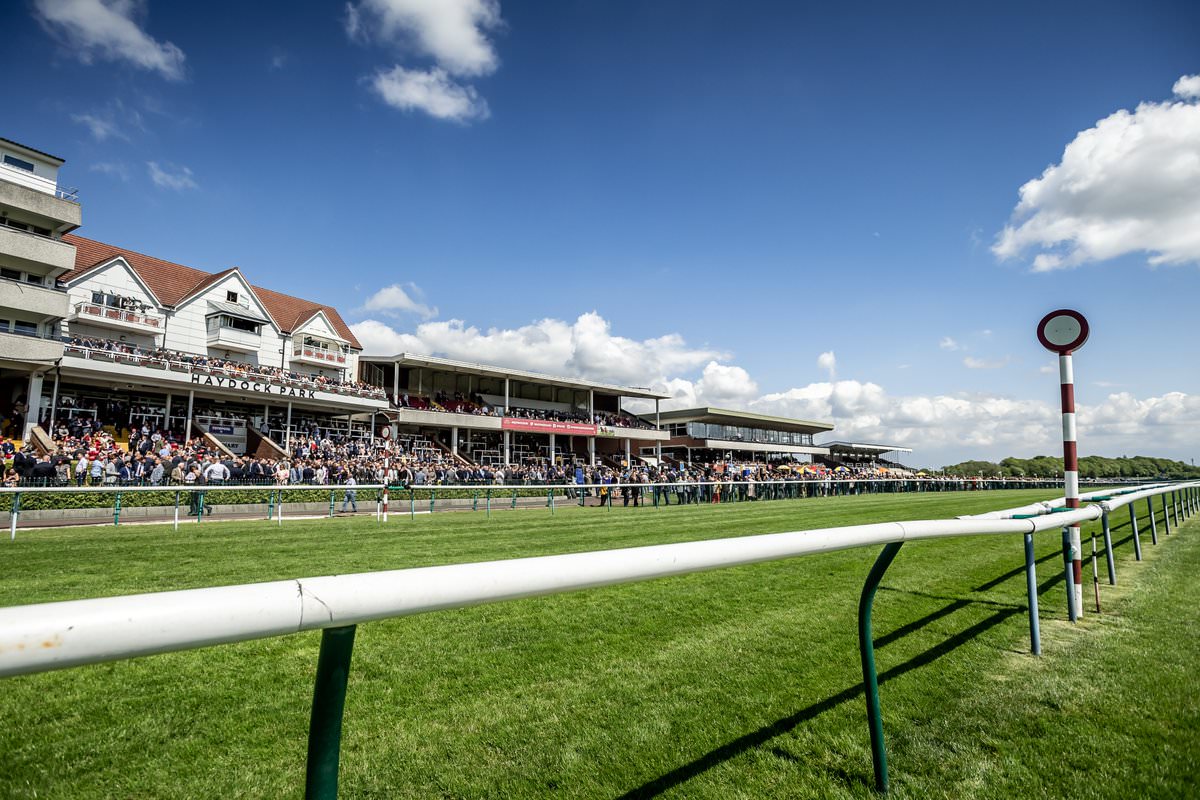 Dancing In Paris wins at Haydock - Ian Williams Racing