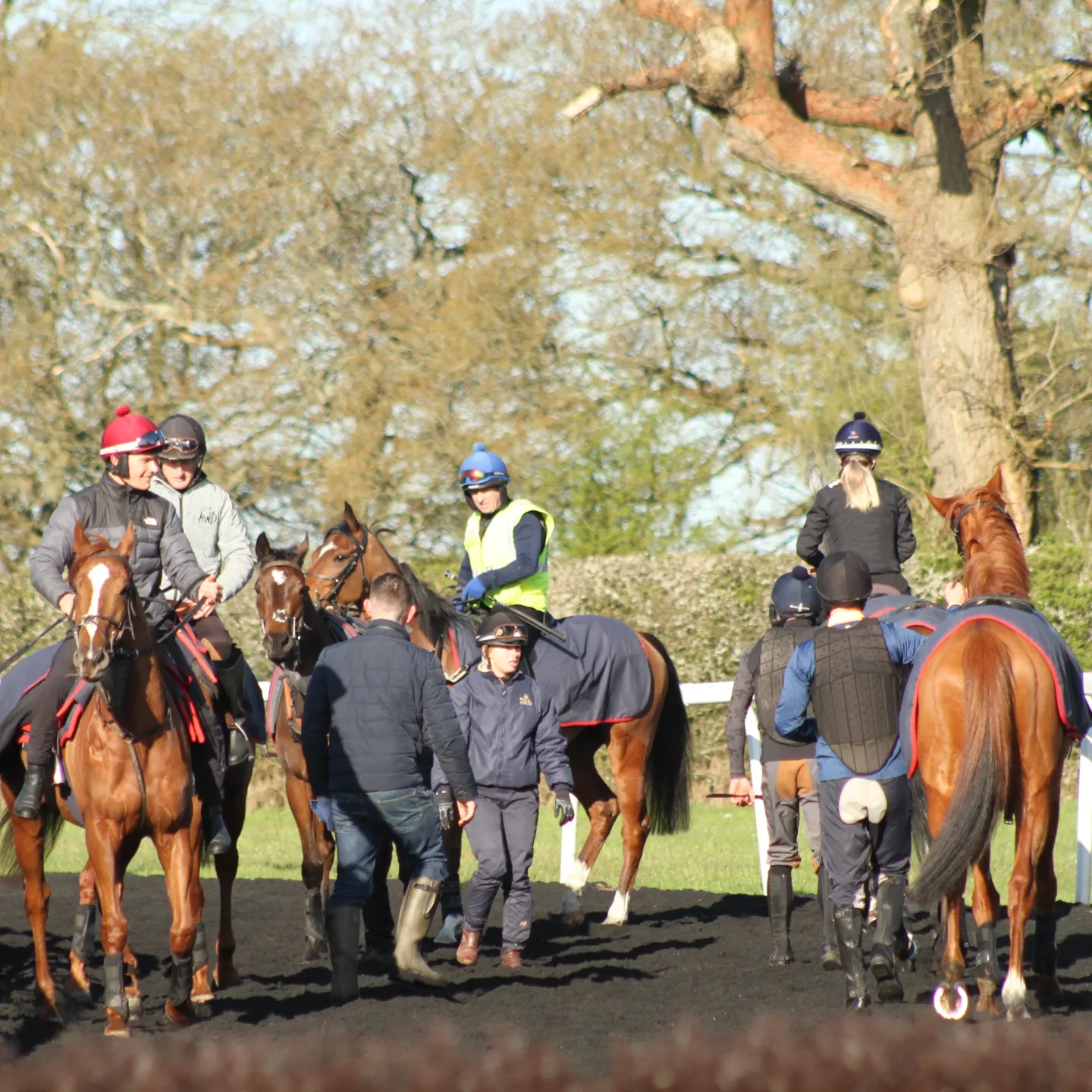 Schooling at Dominion Racing Stables - Ian Williams Racing