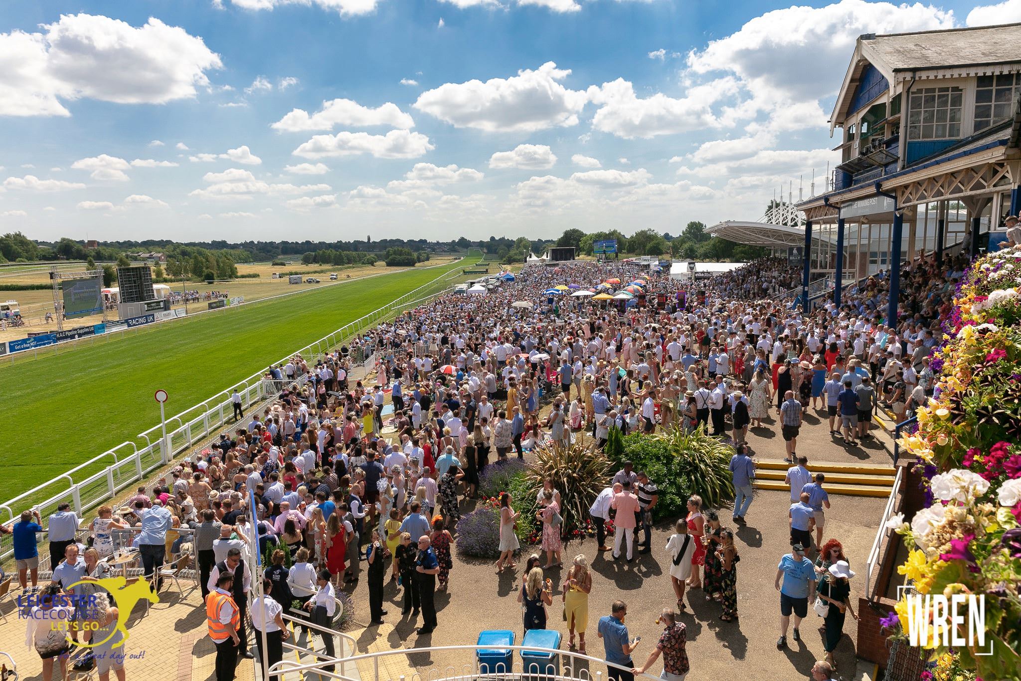 Golden Maverick wins at Leicester - Ian Williams Racing