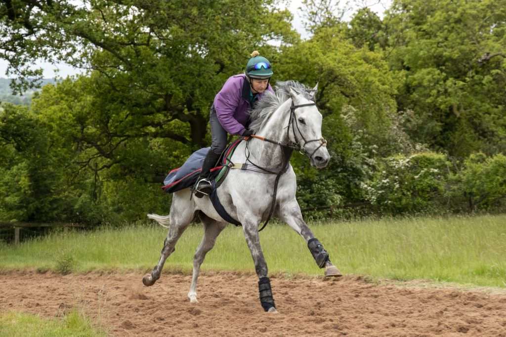 C'Mon Kenny wins at Kempton - Ian Williams Racing