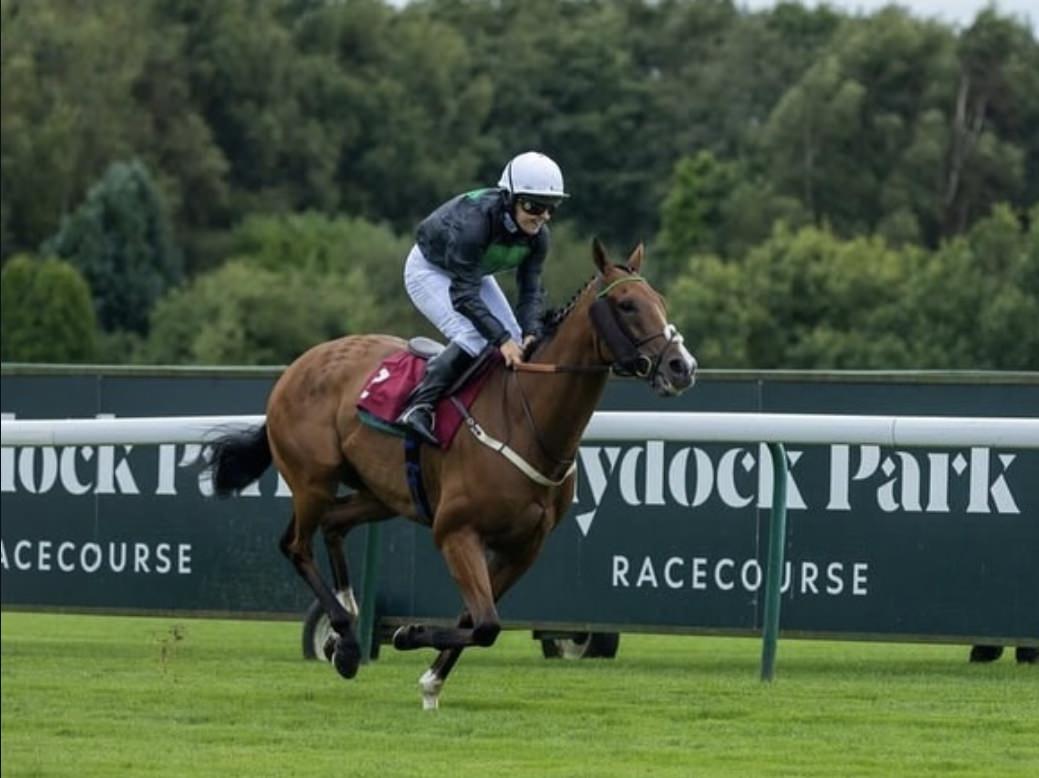 Haliphon wins at Haydock - Ian Williams Racing