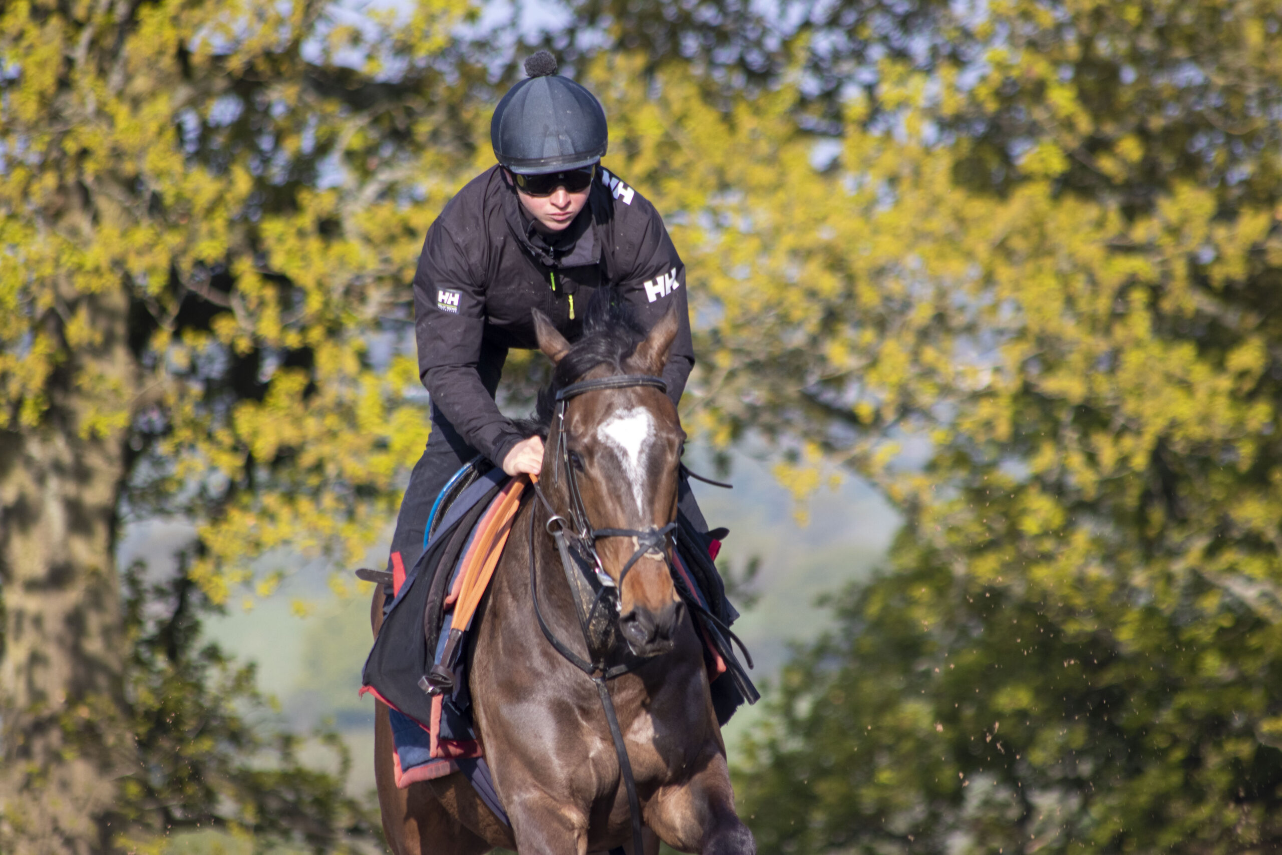 Supido – Ian Williams Racing