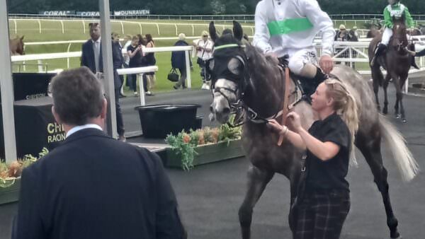 Gallant Lion wins at Chepstow - Ian Williams Racing