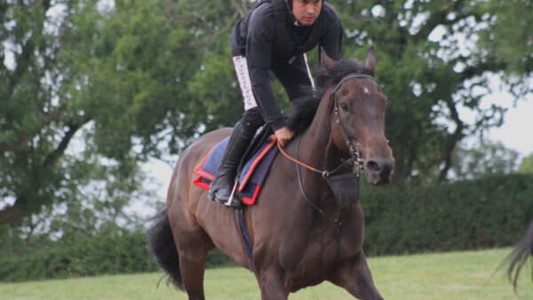 Saachi – Ian Williams Racing