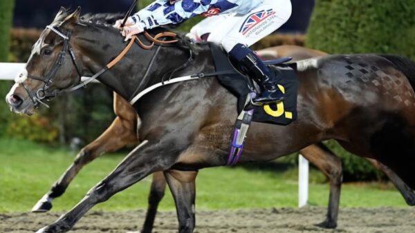 Uniting wins at Kempton - Ian Williams Racing